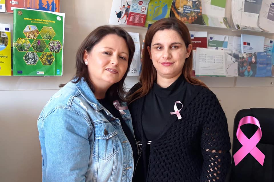 TETORI ROZË | Miresevini ne faqen zyrtare te Bashkise Prrenjas